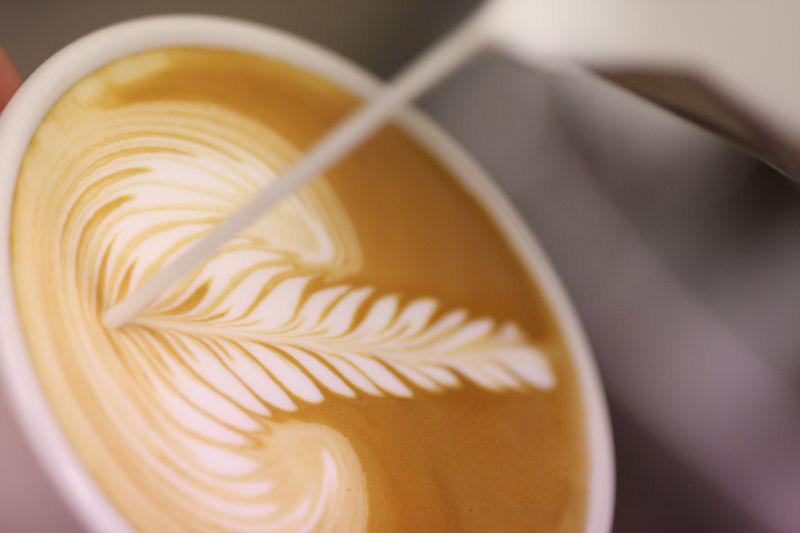 Cómo hacer una Rosetta
